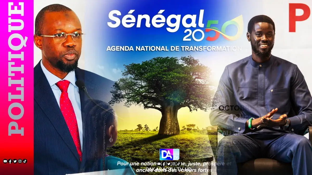 Senegal : the pillars of the National Strategy to lift the country out ...