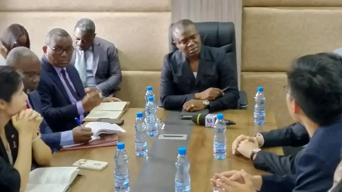 Des investisseurs chinois au Gabon sur le projet du chemin de fer pour ...